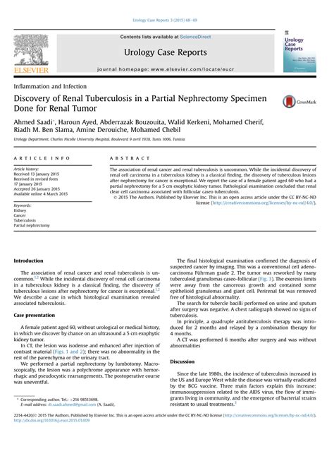 Pdf Discovery Of Renal Tuberculosis In A Partial Nephrectomy Specimen Done For Renal Tumor