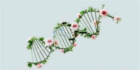 The Challenges Of Ai Driven Genetic Testing Balancing Innovation With Ethics And Security