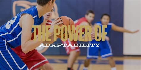 The Adaptability Curve What Makes Athletes Thrive During Transitions