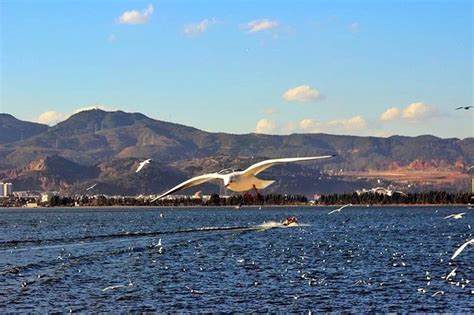 云南昆明滇池景区介绍 云南昆明滇池 滇池大坝景区介绍 第9页 大山谷图库