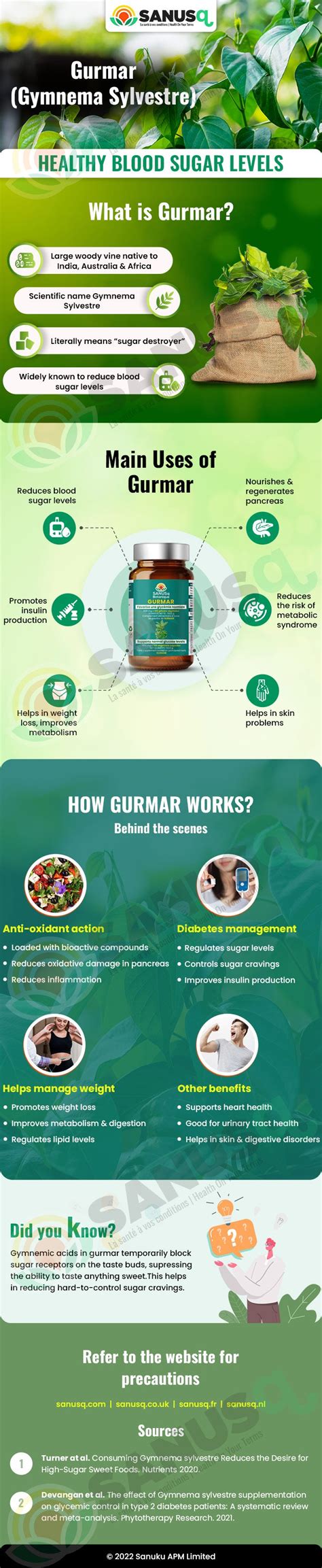 Gymnema Sylvestre Gurmar Pancreas Health