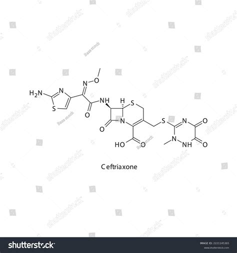 세프트리악스톤 평면 골격계 분자구조 3세대 세팔로스포린 스톡 벡터 로열티 프리 2221145365 Shutterstock
