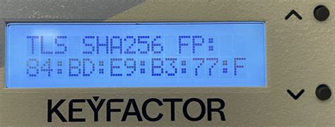 Step 2 One Time Password And Tls Fingerprint