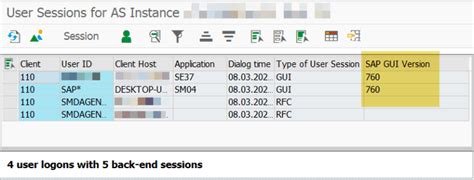 How To Determine Sap Gui Version