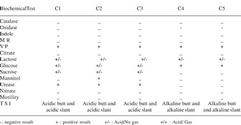 Table 3 From Antimicrobial Activity Of Bacteriocin Produced By Lactic