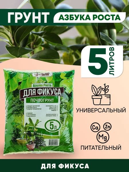 Грунт для фикусов и пальм 5 литров - купить по низкой цене в интернет ...
