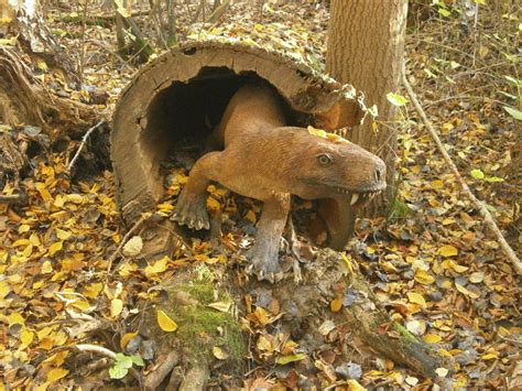 Mystery Synapsid By Bunnyworksstudio On Deviantart