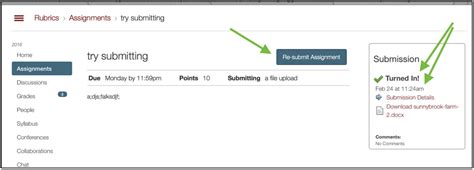 I Turned It In You Just Didnt Get It Other Canvas Assignment Excuses Foiled Center For