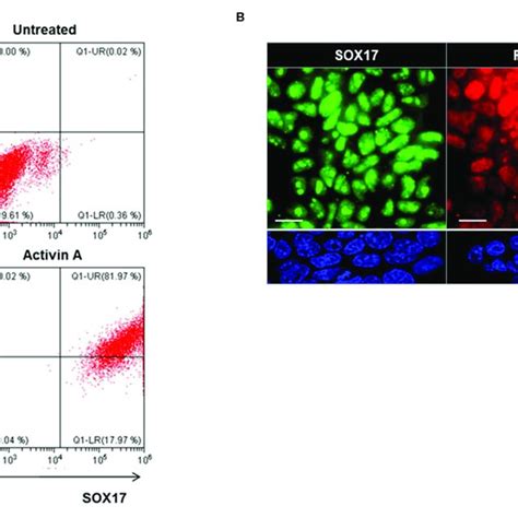Endoderm Induction In Human Ipscs Lf Cells A Representative Flow Download Scientific