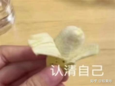 Intel的npu算力如何？是干嘛用的？