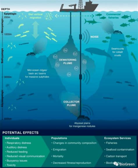 深海采矿对海洋生态环境和生物多样性的影响 蚌埠市科学技术协会