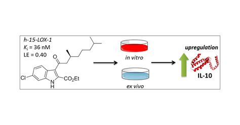 Rational Development Of A Potent 15 Lipoxygenase 1 Inhibitor With In Vitro And Ex Vivo Anti