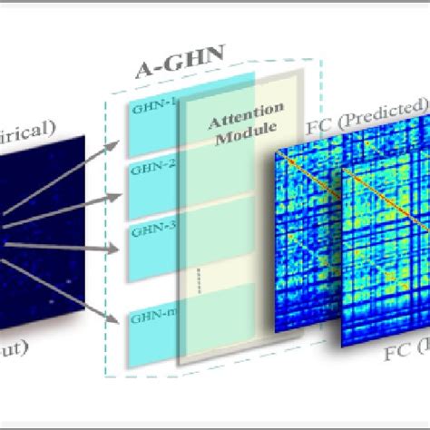 Mapping The Structural And Functional Connectivity In Brain Graphs
