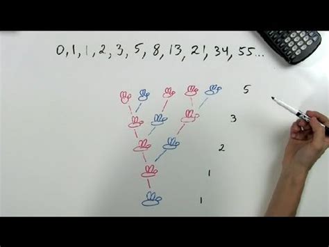 Applications Of Fibonacci Series In Real World Or Examples Of Fibonacci Numbers In Nature