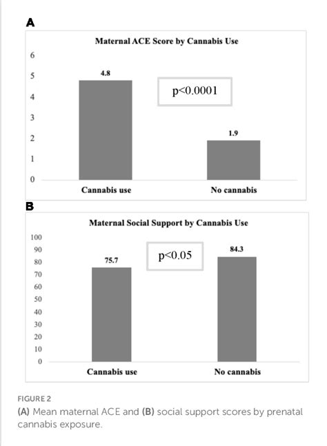 Figure 1 From Potentially Modifiable Risk And Protective Factors Affecting Mental And Emotional