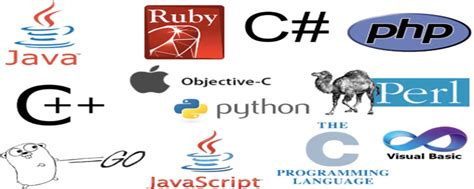 fluency international language and computer institute best english