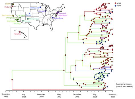 Phylogenetic Reconstruction Of Cluster 1 With Inferred Location And