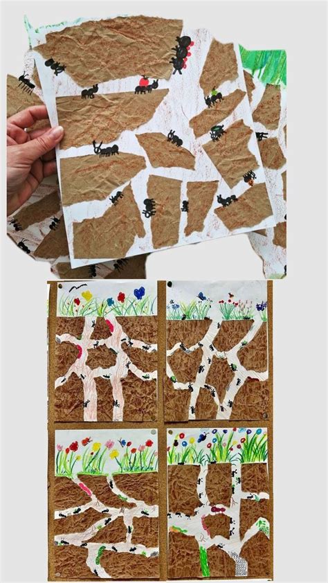 Best 13 Water Strider Stem Activity Artofit