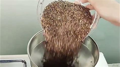 가정용 착유기 채유기 참기름 들기름 기름짜는기계 Youtube