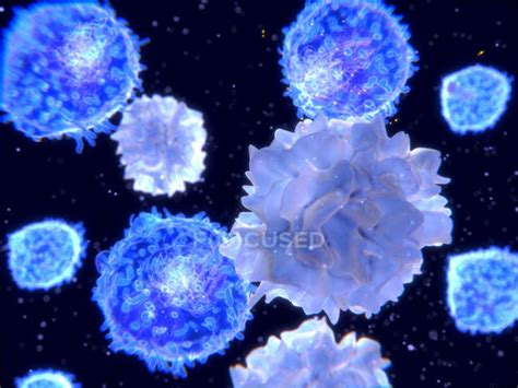 Dendritic Cells Of Immune System Background Electron Stock Photo 160564486