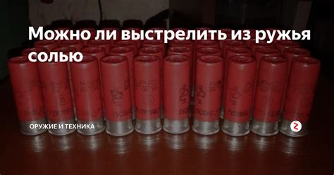 Можно ли выстрелить из ружья солью | Оружие и техника | Дзен