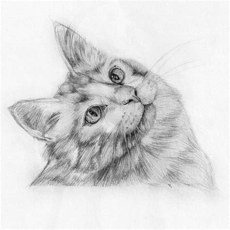 Natilla By Larareylopez On Deviantart