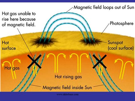 What Is Magnetic Field Of Sun At Ashley Bruny Blog