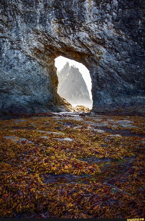 Seeman Memes Best Collection Of Funny Seeman Pictures On Ifunny