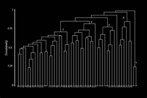 Dendrogram Obtained By The Application Of Agglomerative Classification