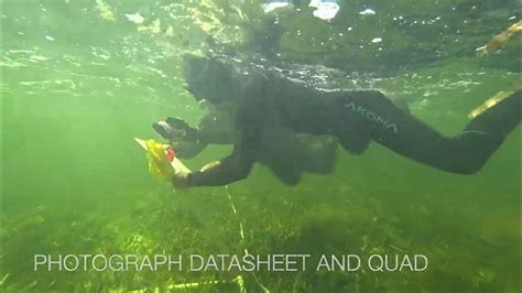 Find Quadrat Location And Score Seagrass Abundance Composition And