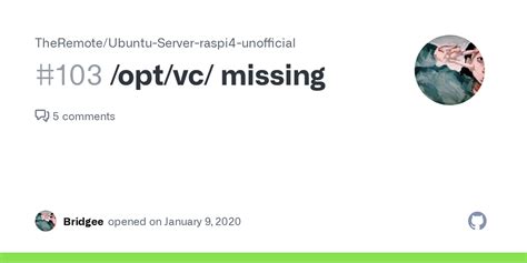 Opt Vc Missing Issue TheRemote Ubuntu Server Raspi Unofficial GitHub