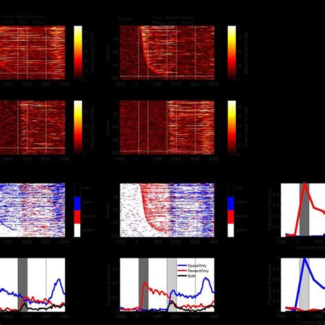 Flexibility Of Single Neuron Selectivity A Sr Trials Single Neuron