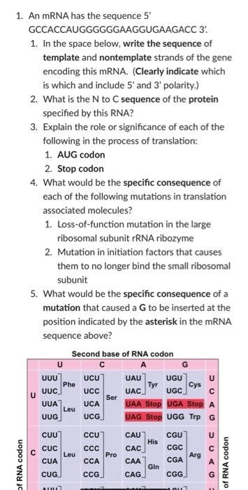 Solved An MRNA Has The Sequence Chegg Com
