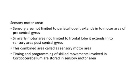 Cerebrum Motor And Sensory Cortex Basal Gangliapptx