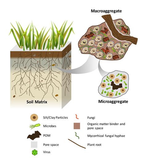 Wide Open Spaces Understanding Variability Of Soil Biology Across Your Field Trace Genomics