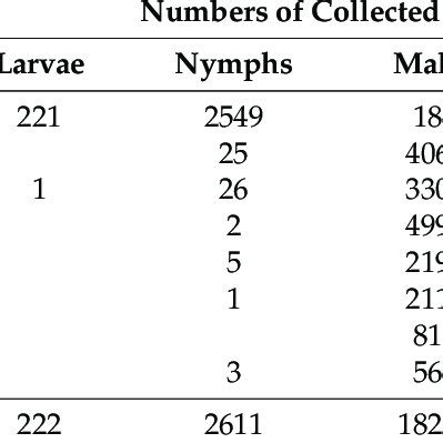Numbers Of Collected Ticks Species Life Stages And Sex Download Scientific Diagram
