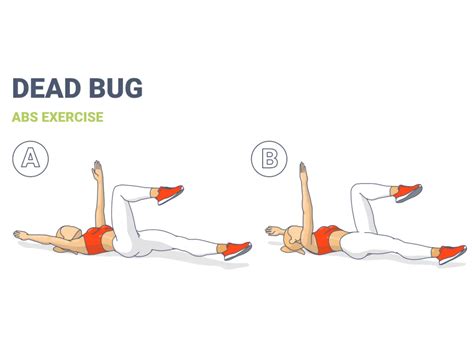 5 Daily Core Exercises For Women To Sculpt A Lean Tummy