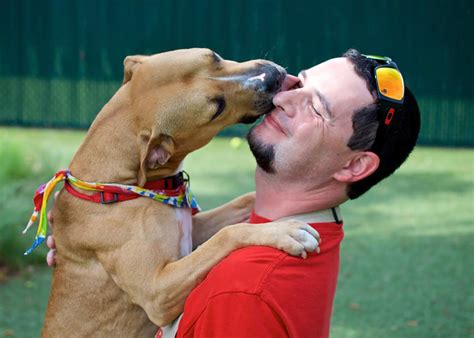 Volunteer Opportunities Atlanta Humane Society