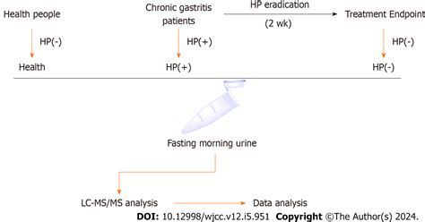 Urinary Metabolic Profiles During Helicobacter Pylori Eradication In Chronic Gastritis