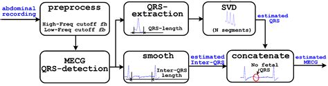 Sensors Free Full Text A Novel Technique For Fetal Ecg Extraction