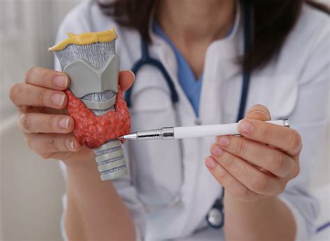 Hashimoto S Disease Is An Autoimmune Disorder That Is The Leading Cause Hypothyroidism