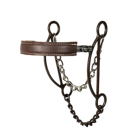 Hackamore