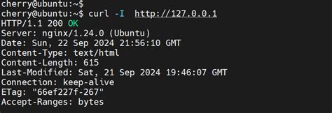 How To Install Nginx On Ubuntu 2404 Step By Step Cherry Servers