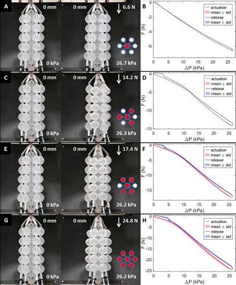 Fusiform Architecture Isometric Characterization No Stretch Isometric