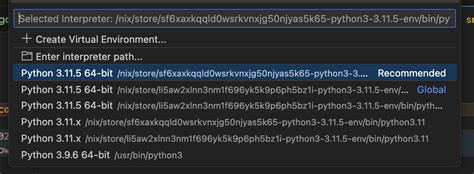 Vscode Extensions Using Nix Flakes On Mbp Cannot Import Scipy Stack Overflow
