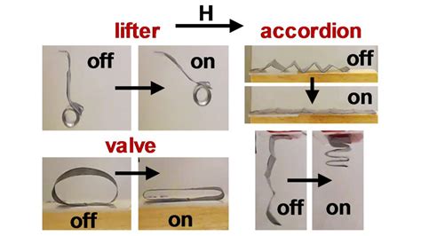 Scientists Use Magnetic Fields To Remotely Control Biologically