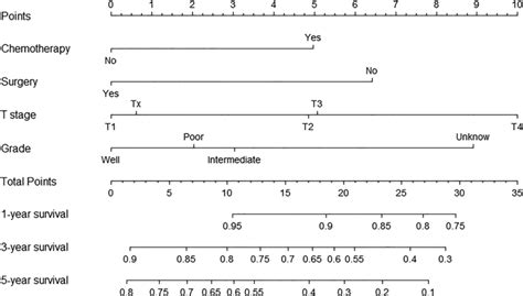 Visual Nomogram Prediction Model Download Scientific Diagram