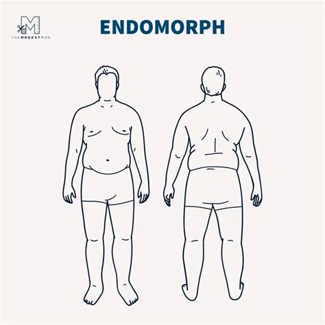 Male Endomorph Body Type Harnessing Your Strong Build The Modest Man