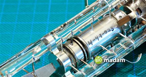 Difference Between Anode And Cathode Biomadam