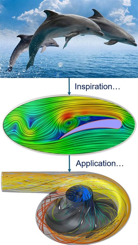 Erke Wang On Linkedin From Inspiration To Applications Computational Fluid Dynamics Simulation